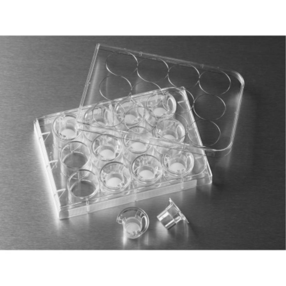 12mm Transwell with 0.4um Pore | 3401 | CORNING | SLS Ireland