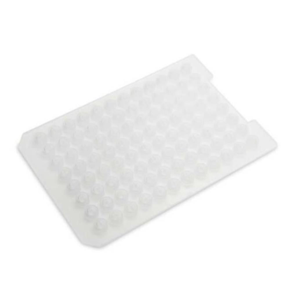 Thermo Scientific SureSTART WE | 60180-M149 | THERMO SCIENTIFIC ...