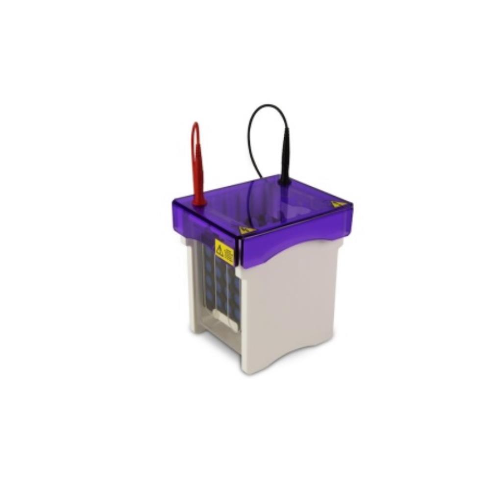 SLS Flowgen Electro blot Mini | EBM10 | SLS FLOWGEN | SLS Ireland